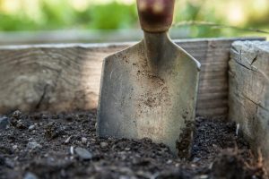 Erde verdichten – So geht’s » heimwerk.co